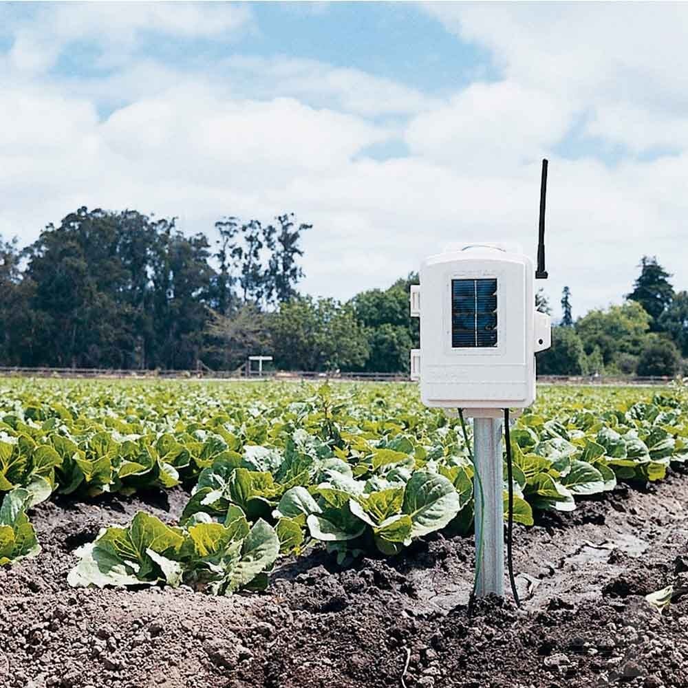 Davis Complete Wireless Soil Moisture/Temperature Station | Weather Shop UK